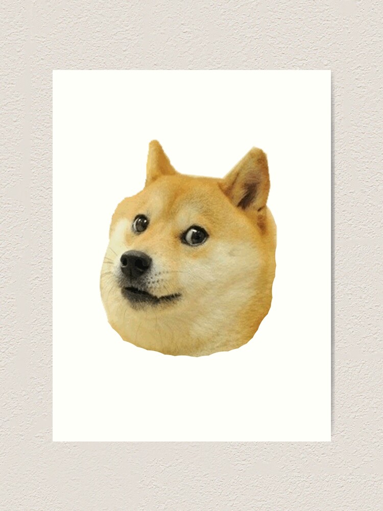 "shibe doge face" Art Print for Sale by catfantastic | Redbubble