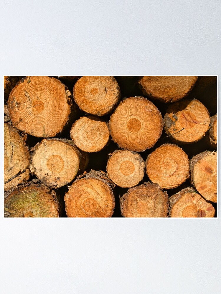 "Log Pile" Poster for Sale by TomBrown-Photos | Redbubble