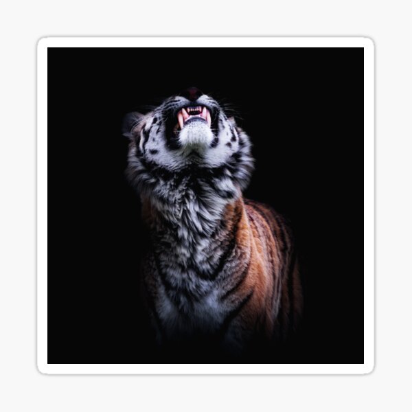 "Sctatch my chin." Sticker by RichardSayer | Redbubble