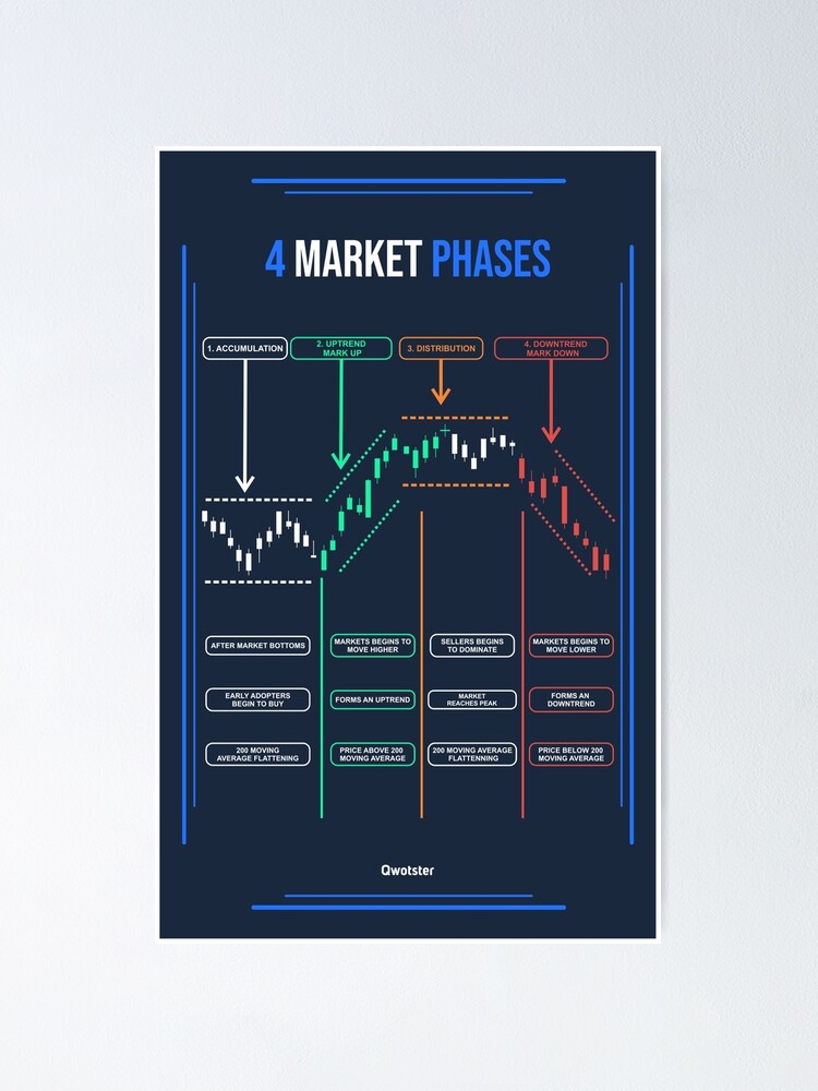 "4 Market Phases" Poster for Sale by qwotsterpro | Redbubble