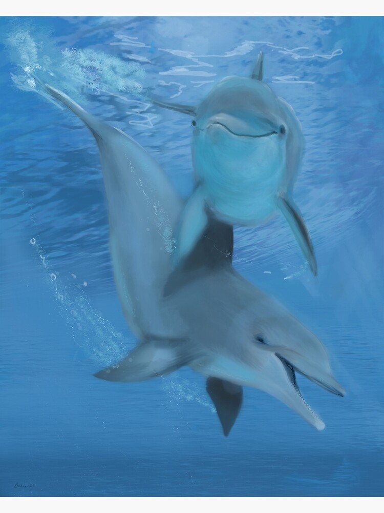 "Joy, Playful Dolphins" Framed Art Print for Sale by artbyrjandreae ...