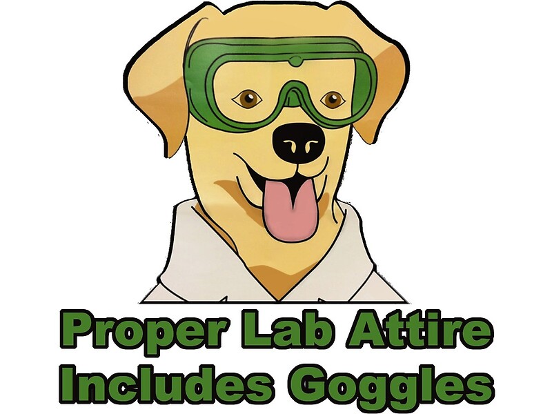  Proper Lab Attire By BR33SY Redbubble