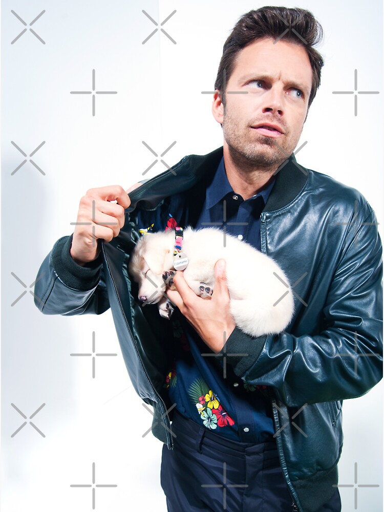 "Sebastian Stan" Sticker for Sale by jennyshan | Redbubble