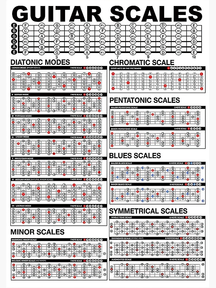 Guitar Scales Knowledge Poster Premium Matte Vertical Poster sold by ...