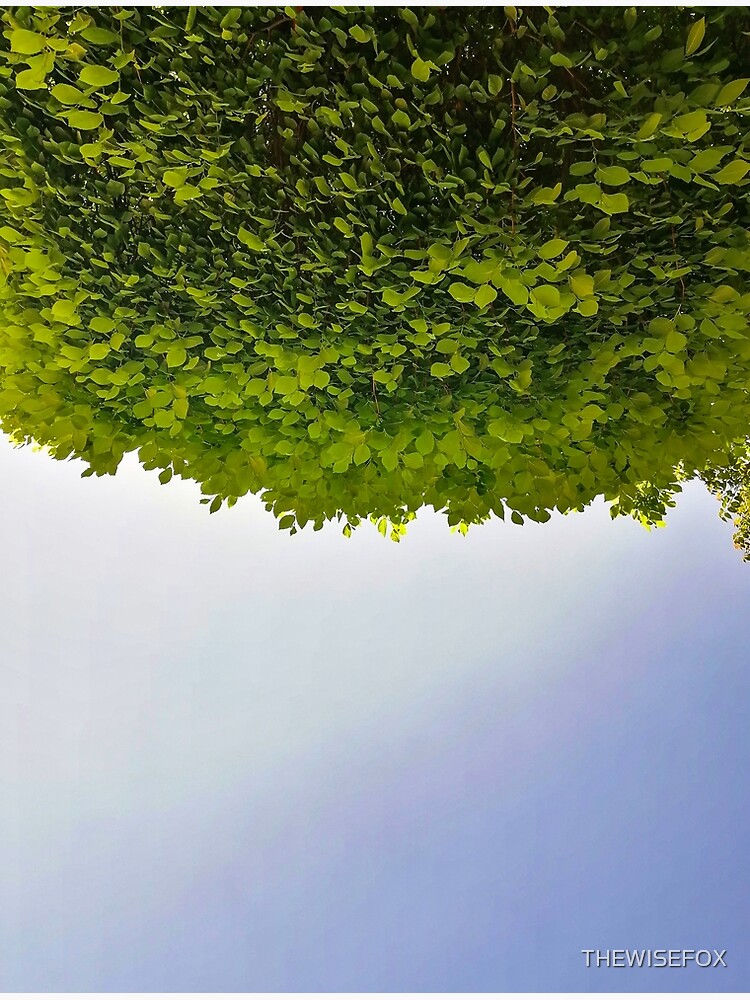 "Inverted Spring Tree" Poster by THEWISEFOX | Redbubble