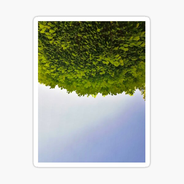 "Inverted Spring Tree" Sticker for Sale by THEWISEFOX | Redbubble