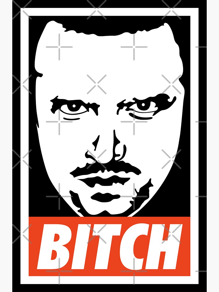 Obey Jesse Pinkman Bitch Sticker For Sale By Gabrielpastor Redbubble