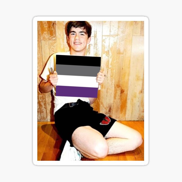 "Declan McKenna and the Ace Flag Sticker" Sticker for Sale by zara ...