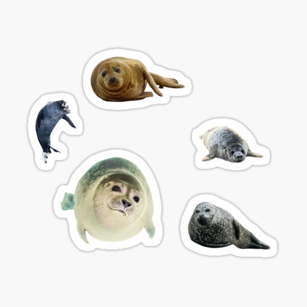 "Cute Round Seals" Sticker for Sale by Creampuffins | Redbubble