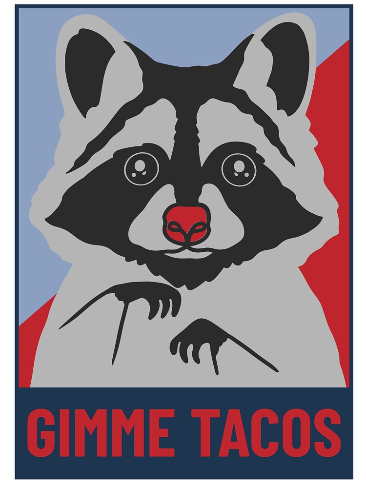 "Taco Racoon" Kids T-Shirt for Sale by luisraultg | Redbubble