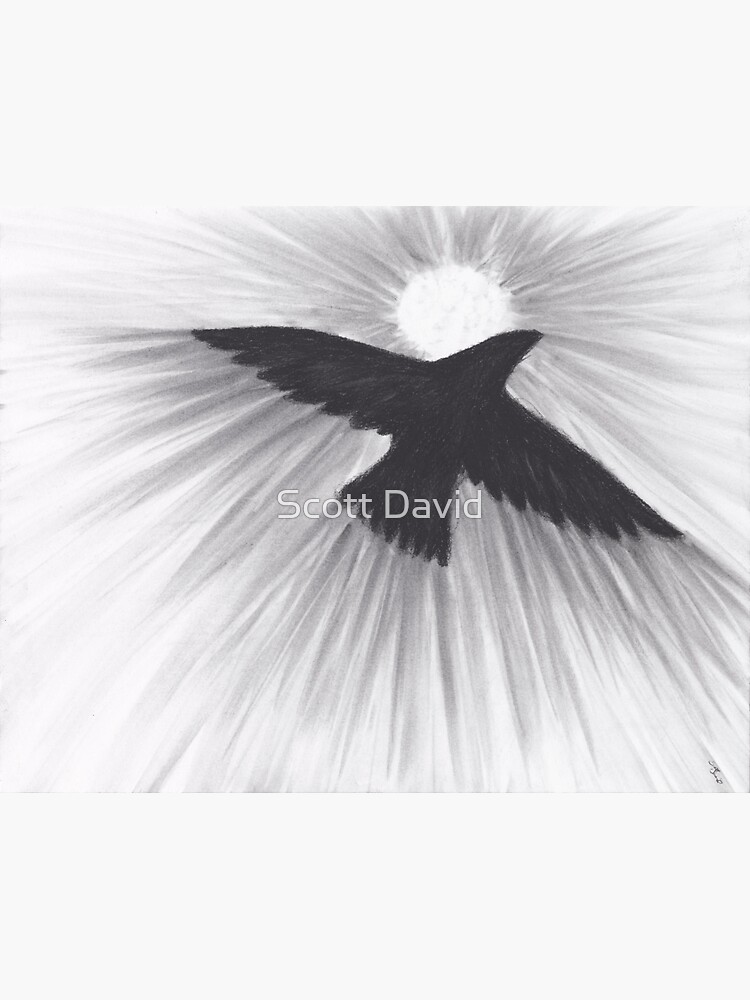 "Soaring Hawk" Sticker by ScottDavidArt | Redbubble