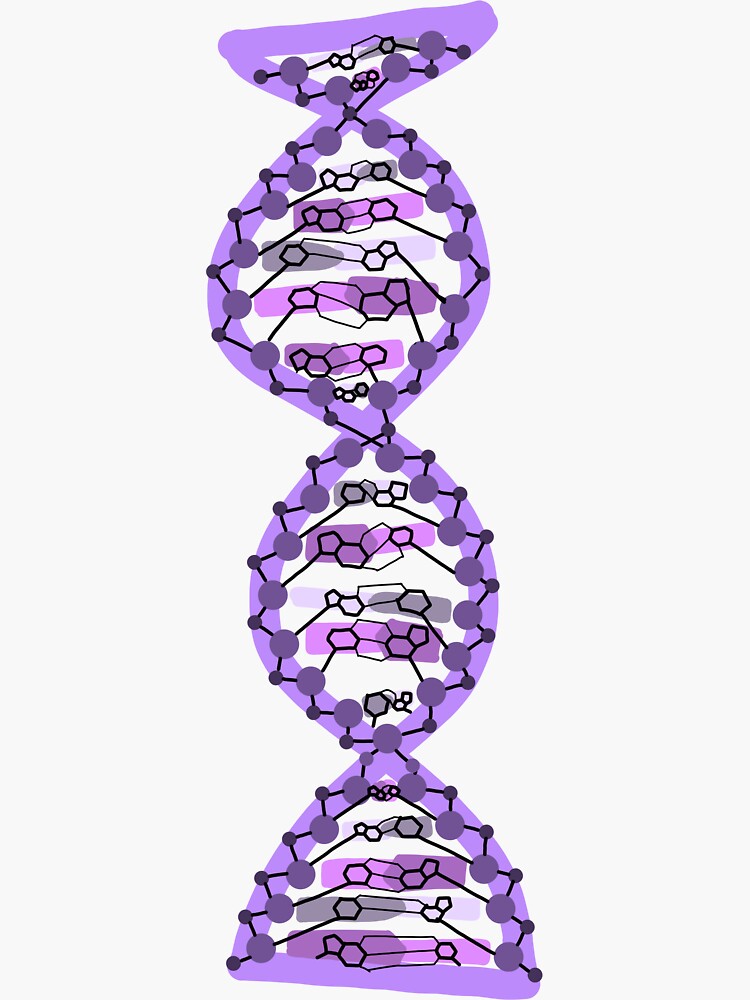 "DNA strand" Sticker by erhuems | Redbubble