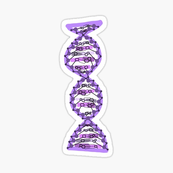 "DNA strand" Sticker by erhuems | Redbubble