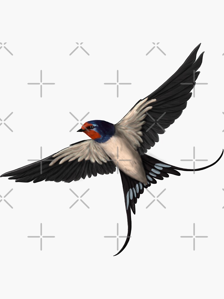 "Barn swallow" Sticker for Sale by Neyresh | Redbubble