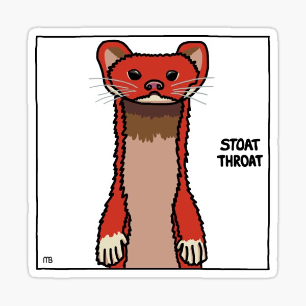 "Curious stoat with a furry throat" Sticker by michellebest | Redbubble