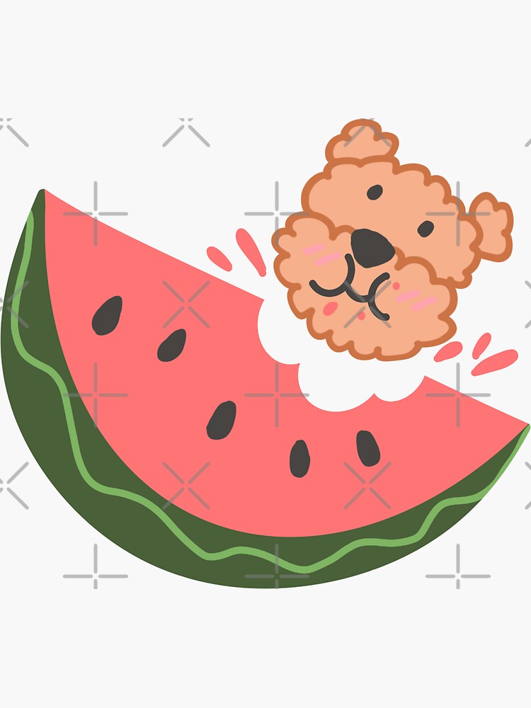 "THIS CUTE POODLE LIKES EATING WATERMELONS " Sticker for Sale by ...