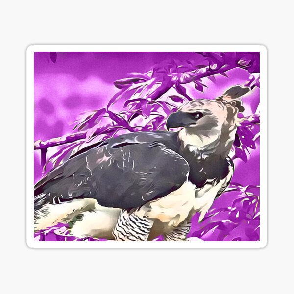 "Harpy Eagle-03" Sticker for Sale by Manar-hamad | Redbubble