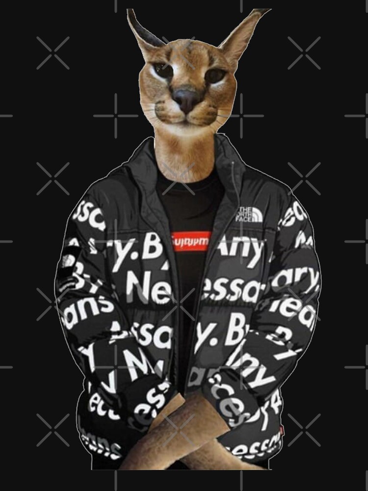 "Zabloing cat" T-shirt by charles034 | Redbubble | zabloing t-shirts ...