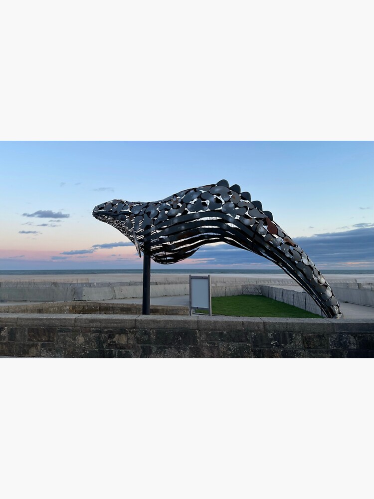 "Jones Beach - Whale" Sticker by eucaprio | Redbubble