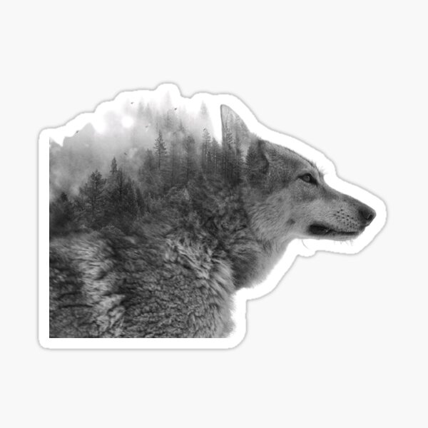 "jackal" Sticker for Sale by Lavka | Redbubble