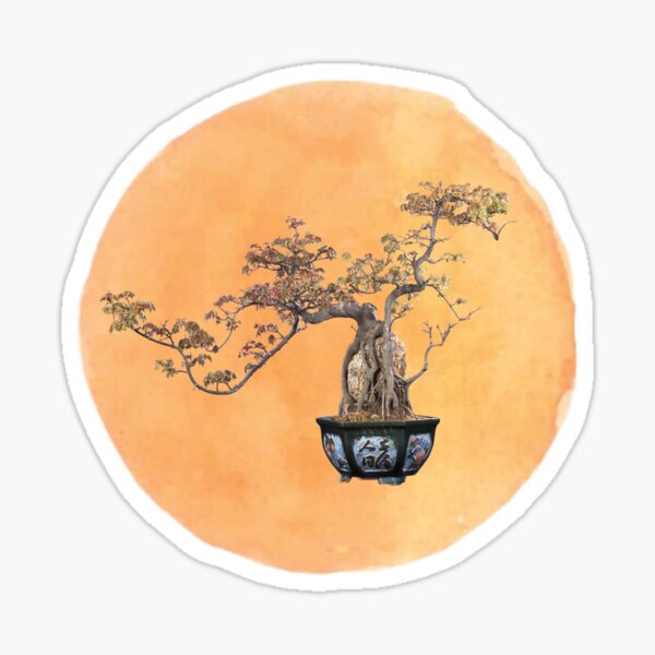"Bonsai Tree Japan Culture " Sticker for Sale by joseech | Redbubble