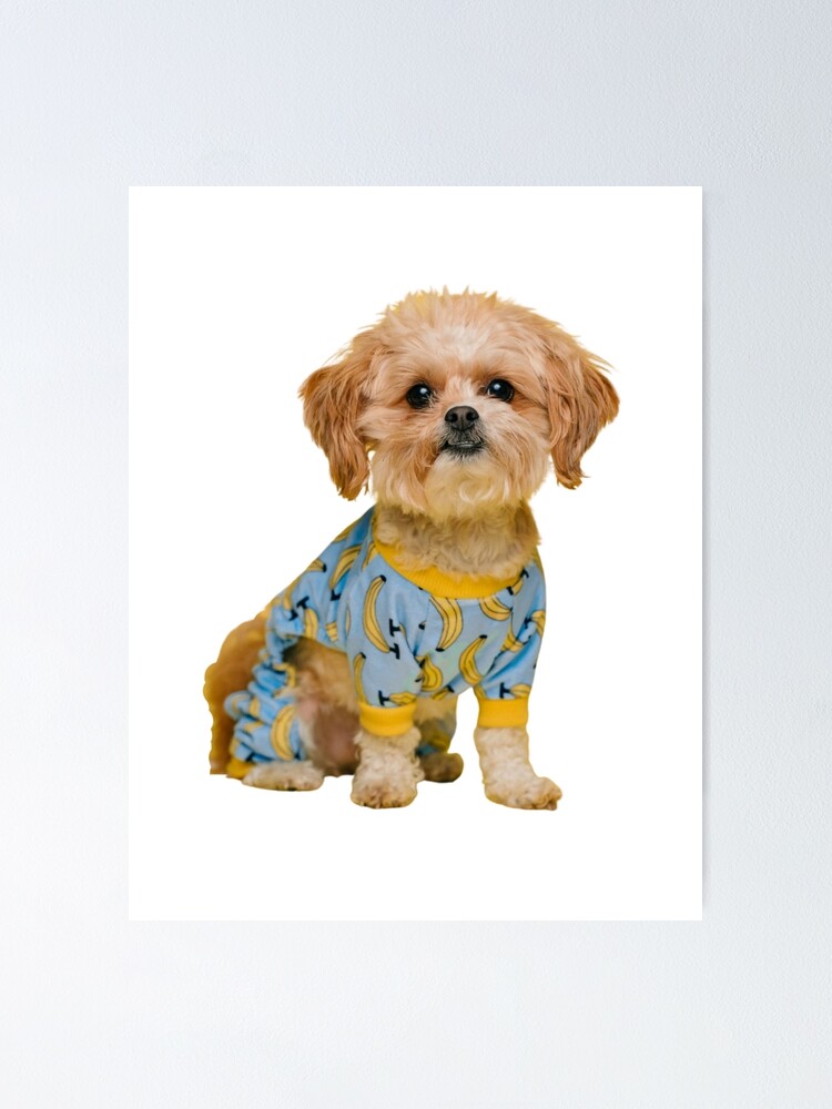 "Cute Puppy" Poster by Royofficial | Redbubble