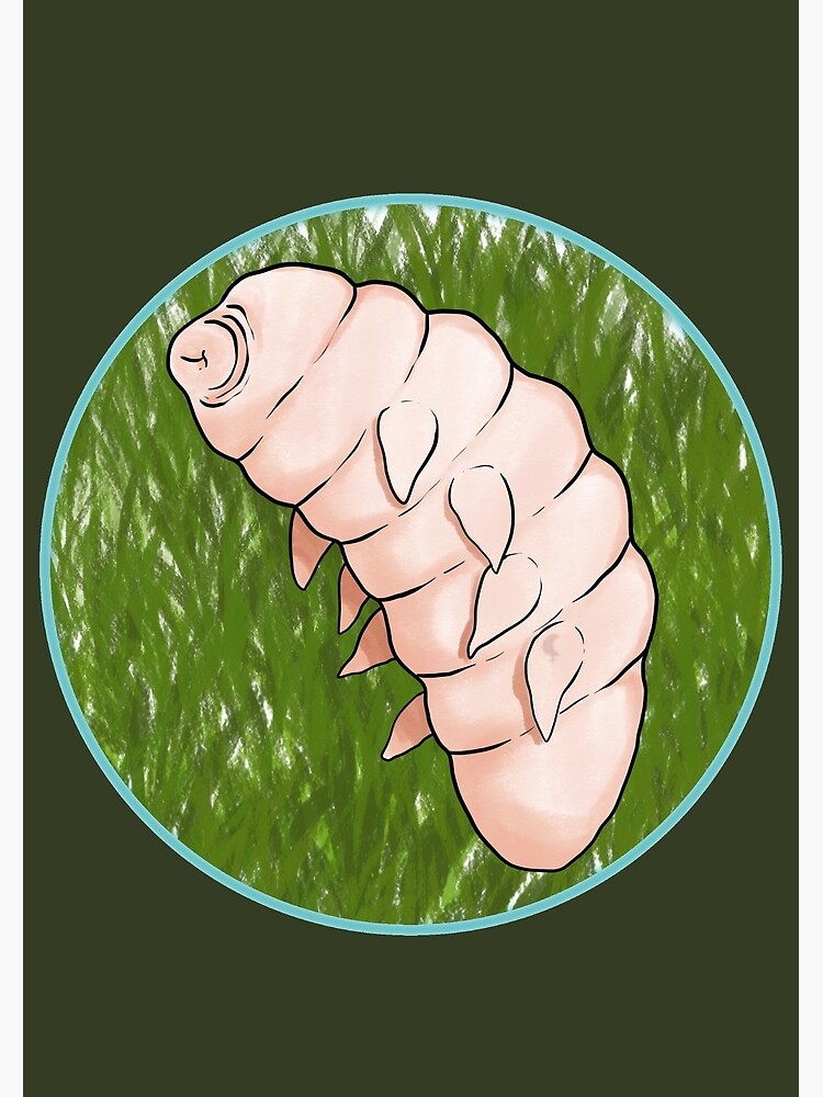 "Tardigrade" Poster for Sale by hexeddrawings | Redbubble