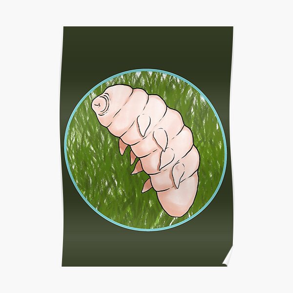 "Tardigrade" Poster for Sale by hexeddrawings | Redbubble