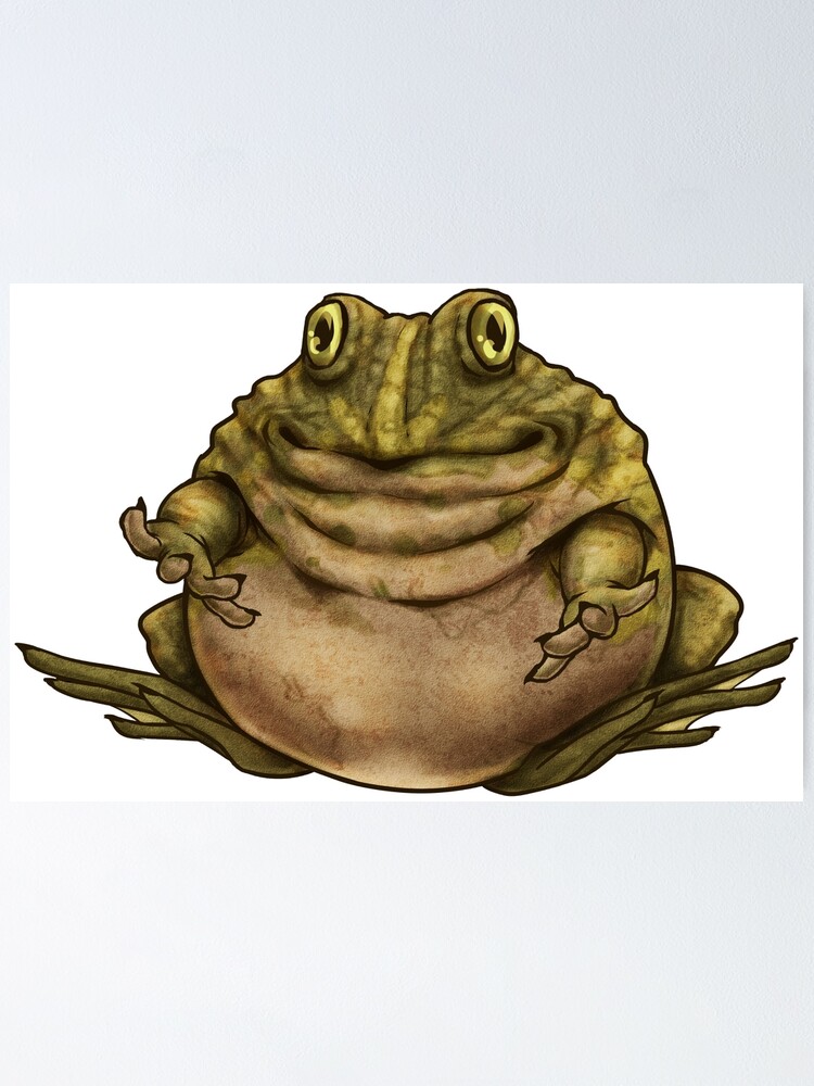 "Round Frog" Poster for Sale by Sosnitsky | Redbubble