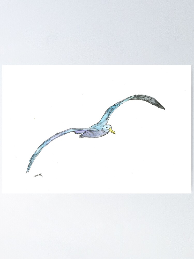 "Soaring high" Poster for Sale by JensOceanArt | Redbubble
