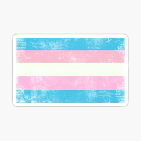 "Rustic Trans flag Pride " Sticker for Sale by cherishakayart | Redbubble