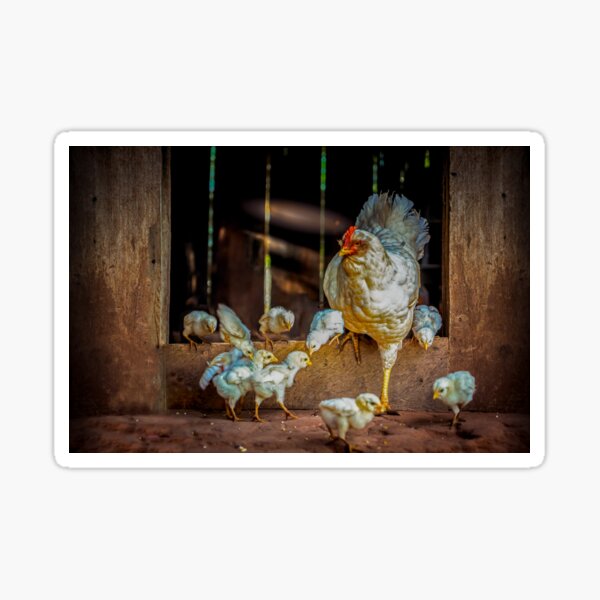 "Family outing" Sticker for Sale by pedroec1 | Redbubble