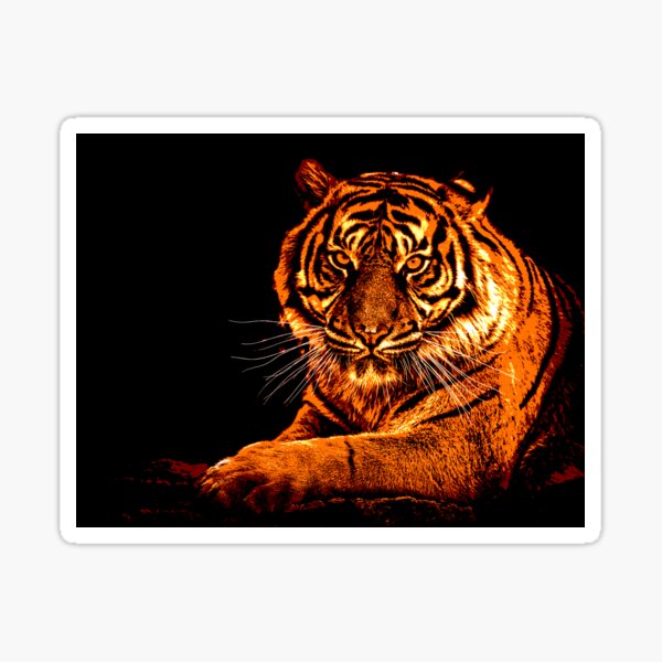 "chillin tiger" Sticker for Sale by GrassDesign | Redbubble