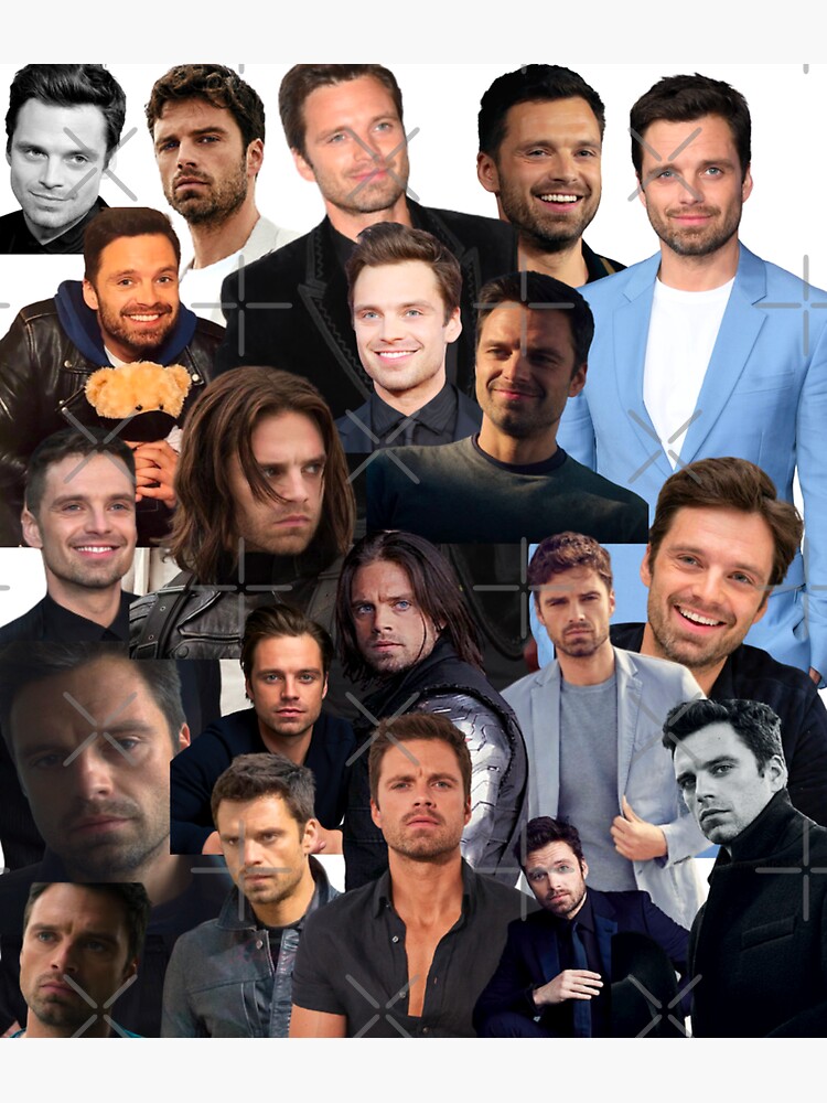 "Seb Stan collage" Sticker for Sale by maryskinn | Redbubble