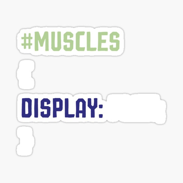 "Gym CSS jokes, Computer Programming" Sticker by Noussairox | Redbubble