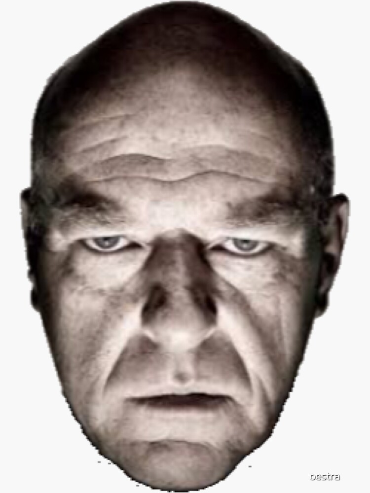 "Hank Staring Meme" Sticker for Sale by oestra | Redbubble