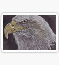 Bald Eagle: Stickers | Redbubble