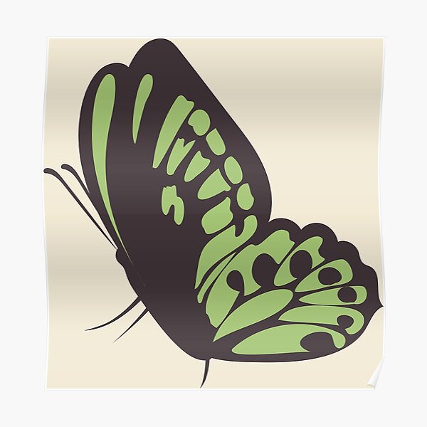 "Green butterfly" Poster for Sale by IcedLatteShop | Redbubble