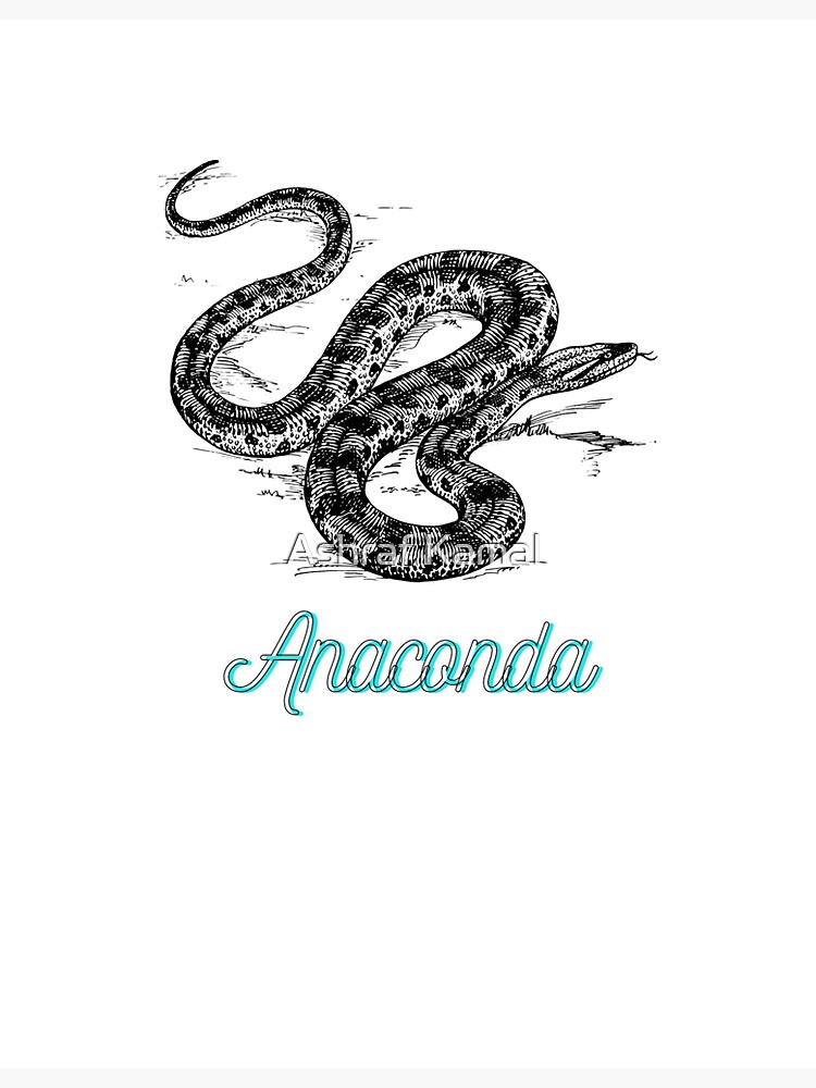 "Great anaconda" Sticker by AnaConda95 | Redbubble