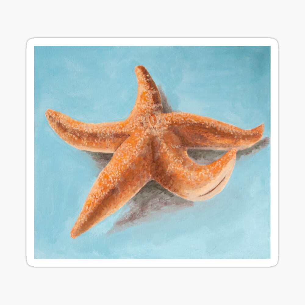 Starfish Oil Painting Realism Oil Painting, Blue Vase And Starfish