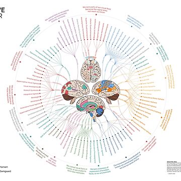 "Cognitive Disorder Atlas - Summarized (Landscape)" Photographic Print ...