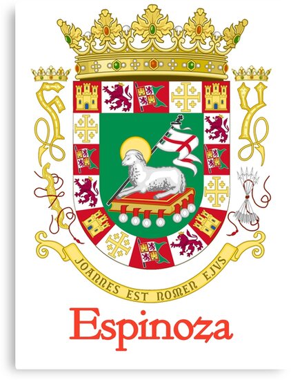 Lienzo «Escudo Espinoza de Puerto Rico» de carpediem6655 | Redbubble