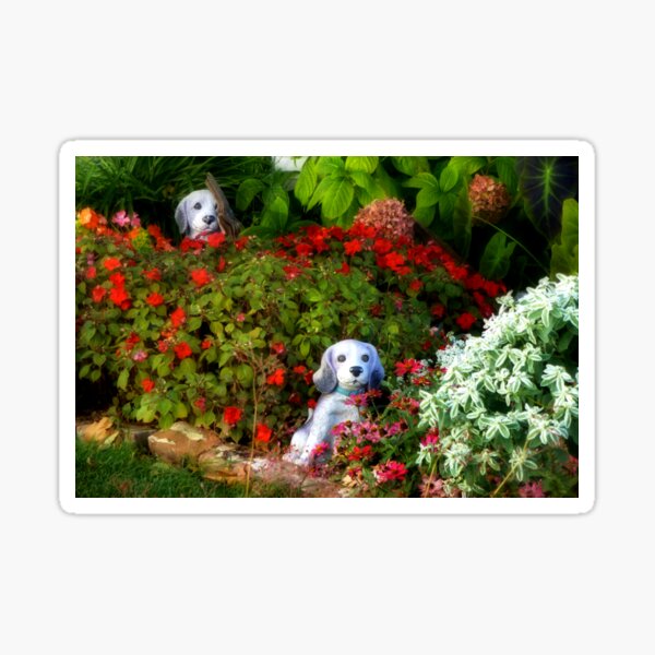 "here's looking at you, kid!" Sticker for Sale by MsTique | Redbubble