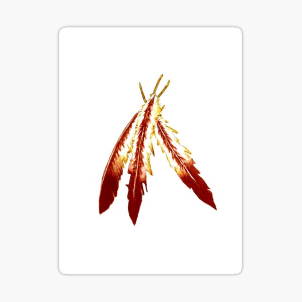 "Native American Feathers" Sticker for Sale by MickArtist | Redbubble