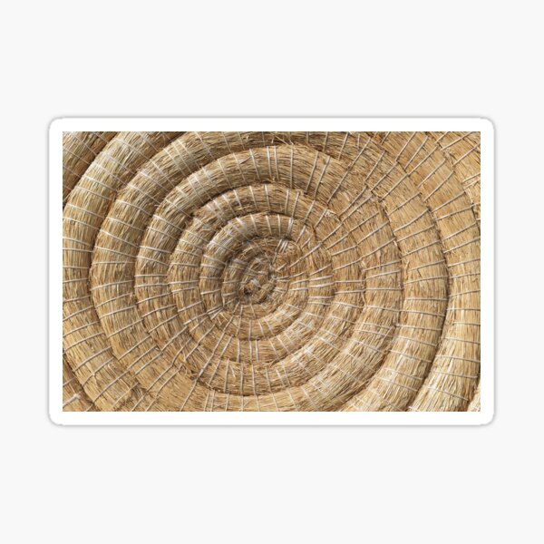 "shield" Sticker for Sale by Claraveritas | Redbubble