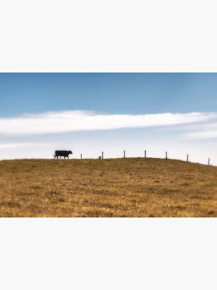 "Places To Go, Grass To Eat" Poster for Sale by butterbean57 | Redbubble