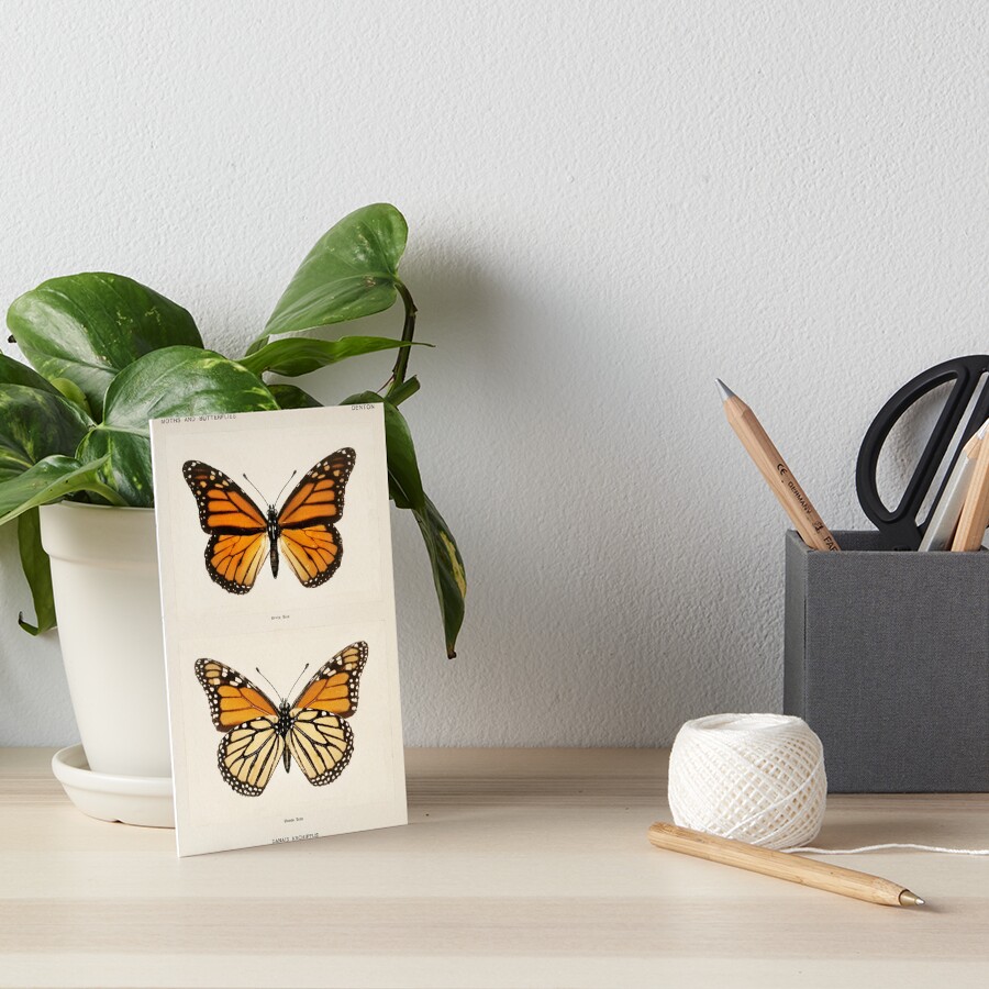 "Vintage Monarch Butterfly Poster" Art Board Print by -2000sGirl ...
