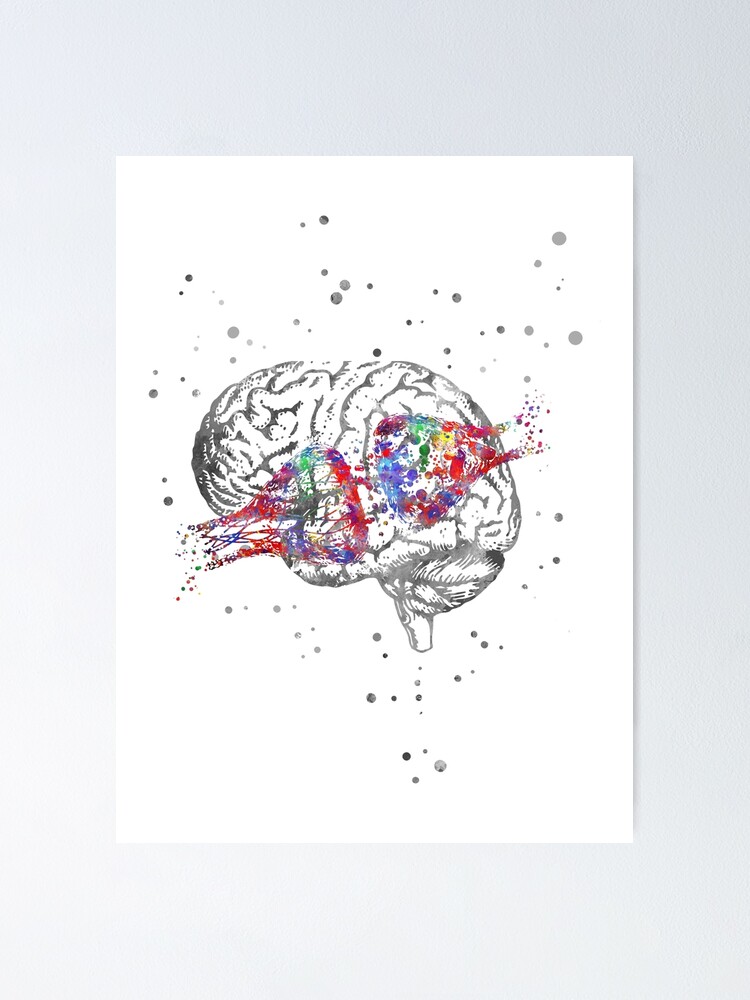 "Synapse receptor and brain" Poster by Rosaliartbook | Redbubble