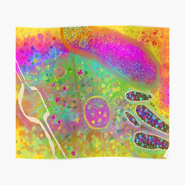 "detailed human cell with pink and green color combination " Poster for ...