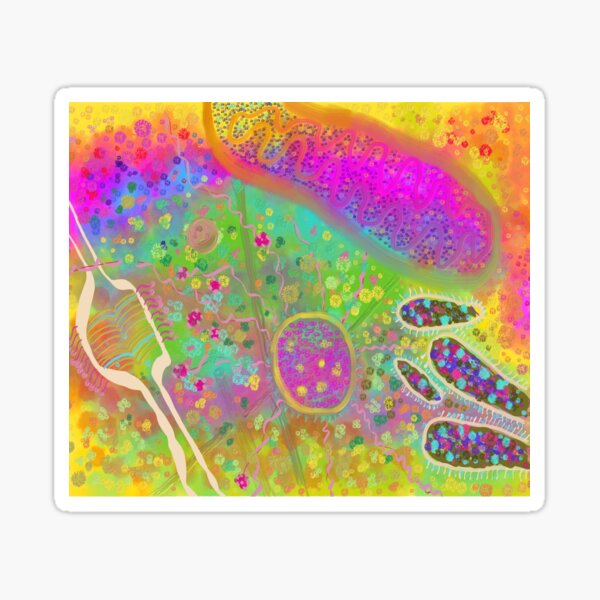 "detailed human cell with pink and green color combination " Sticker ...